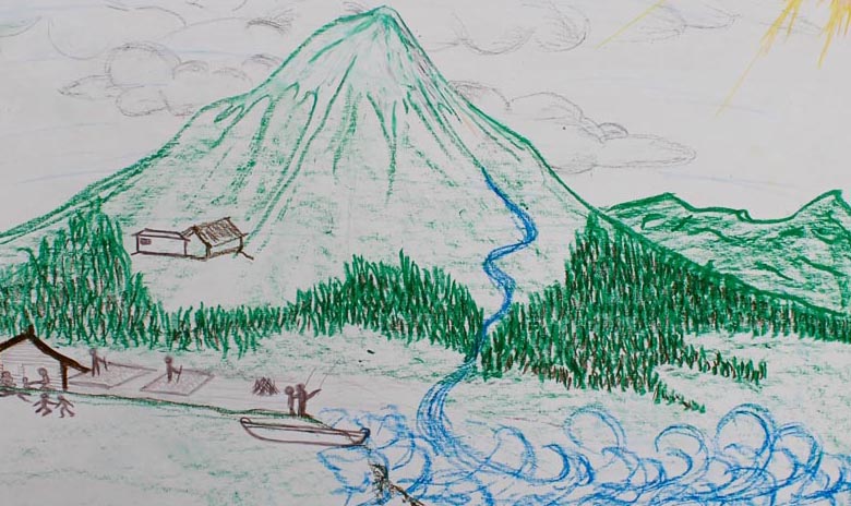 Arts Access Aotearoa